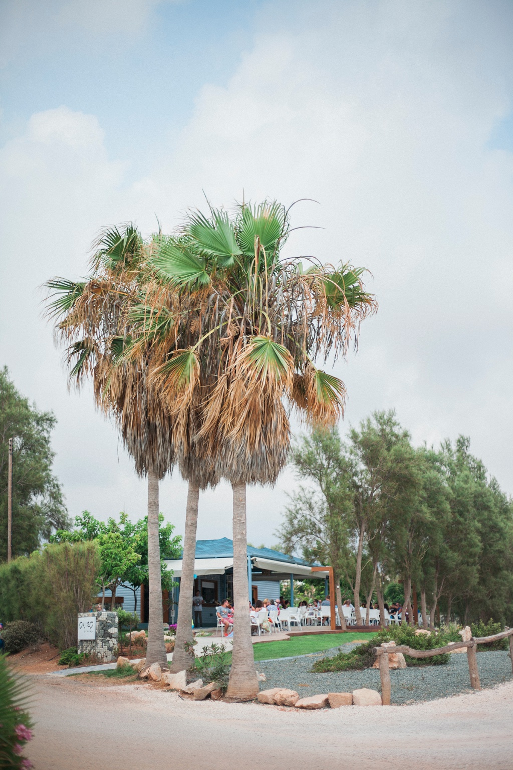 Oniro By The Sea, Paphos, Cyprus | Travel Photography | Maxeen Kim ...